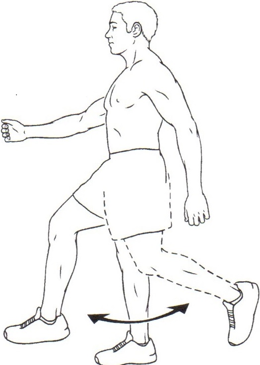 Hip Pain – First of a 4-Part Series – Nancy L. Fitness