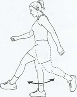 Functional Mobility – Nancy L. Fitness